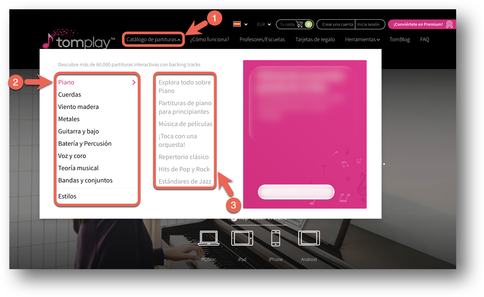 ¿Cómo puedo consultar el catálogo de Tomplay en el sitio web? – Centro de Ayuda de Tomplay